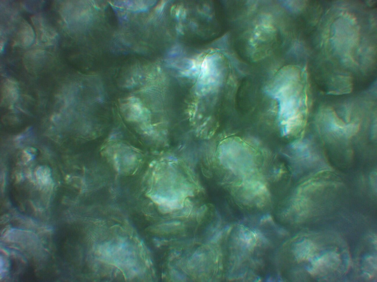 About the Lab - Earth Funding Lab